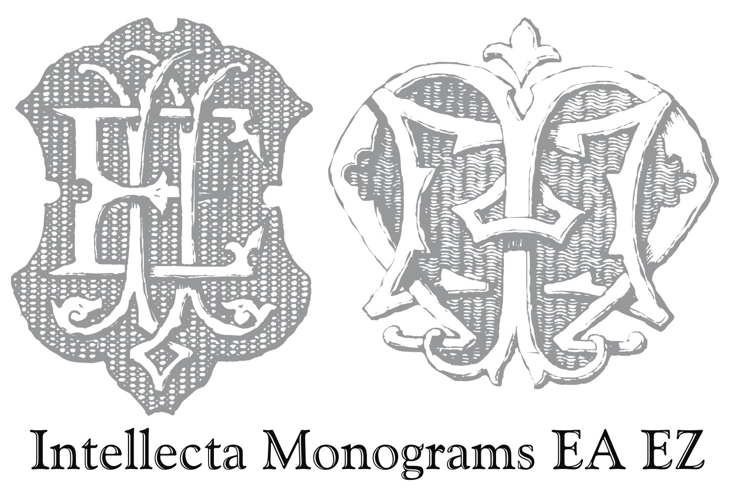 Intellecta Monograms EA EZ (115062) | Dingbats | Font Bundles