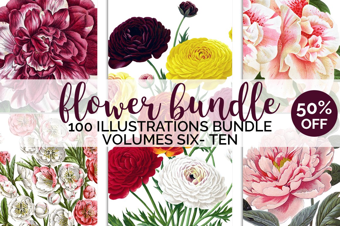 Flower Bundle Vintage Clipart (203755) | Illustrations | Design Bundles