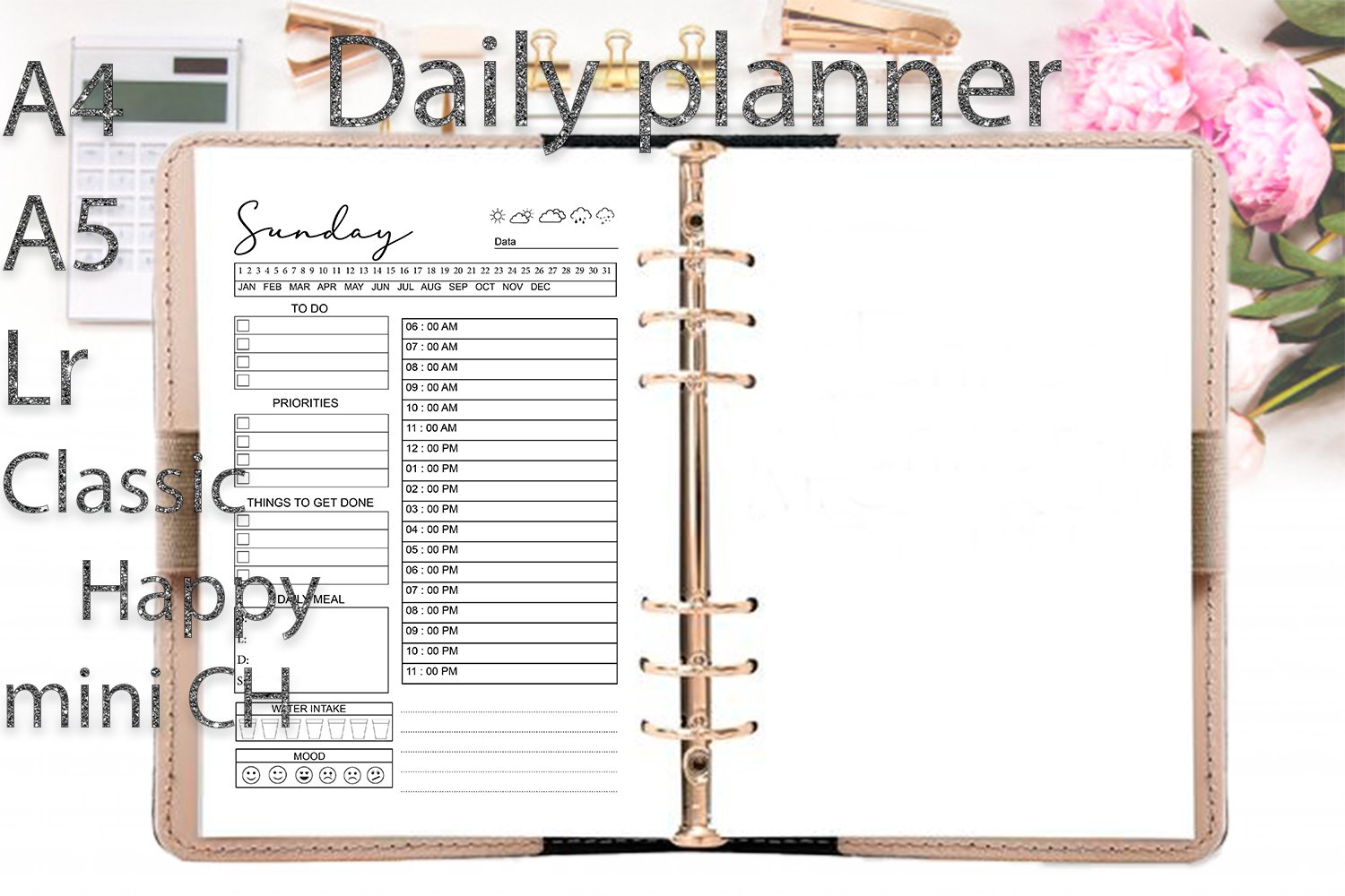 Daily Planner 2021 Printable, Happy Planner, A4, A5, Letter (1115143 ...