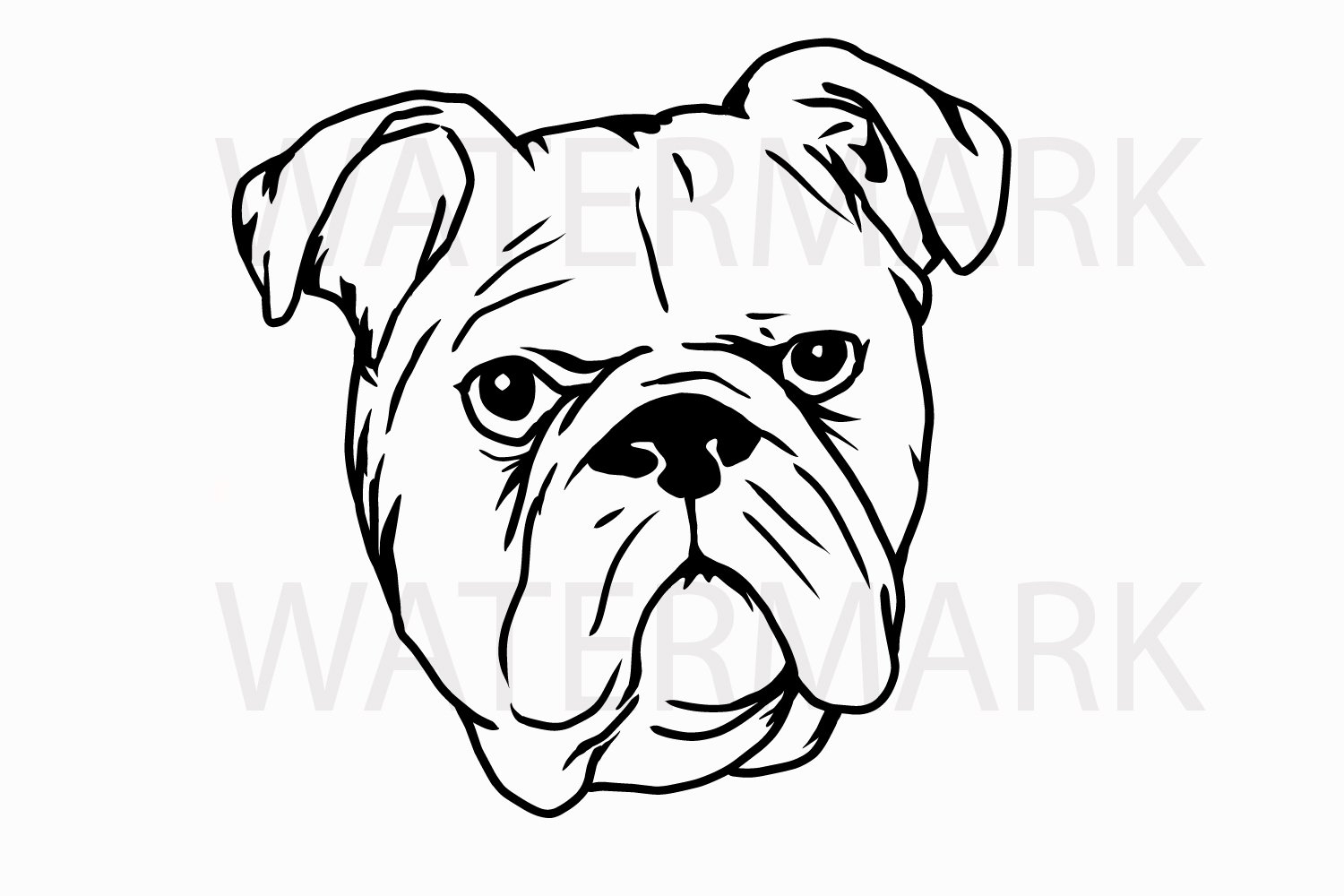 English Bulldog Face Drawings