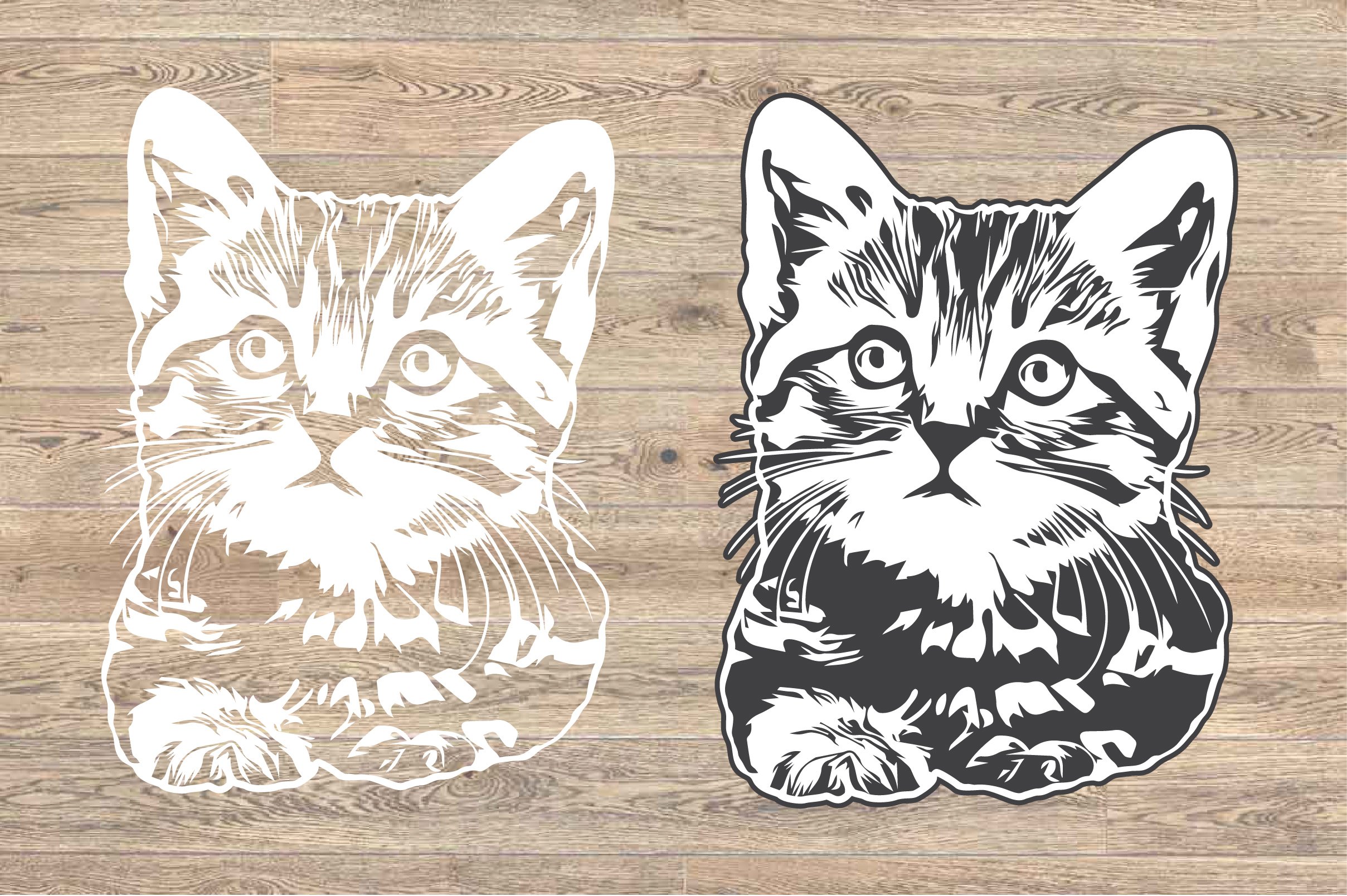 MEOW SVG Cat peekaboo kitty Kitten cats 1748s (536470) | SVGs | Design ...