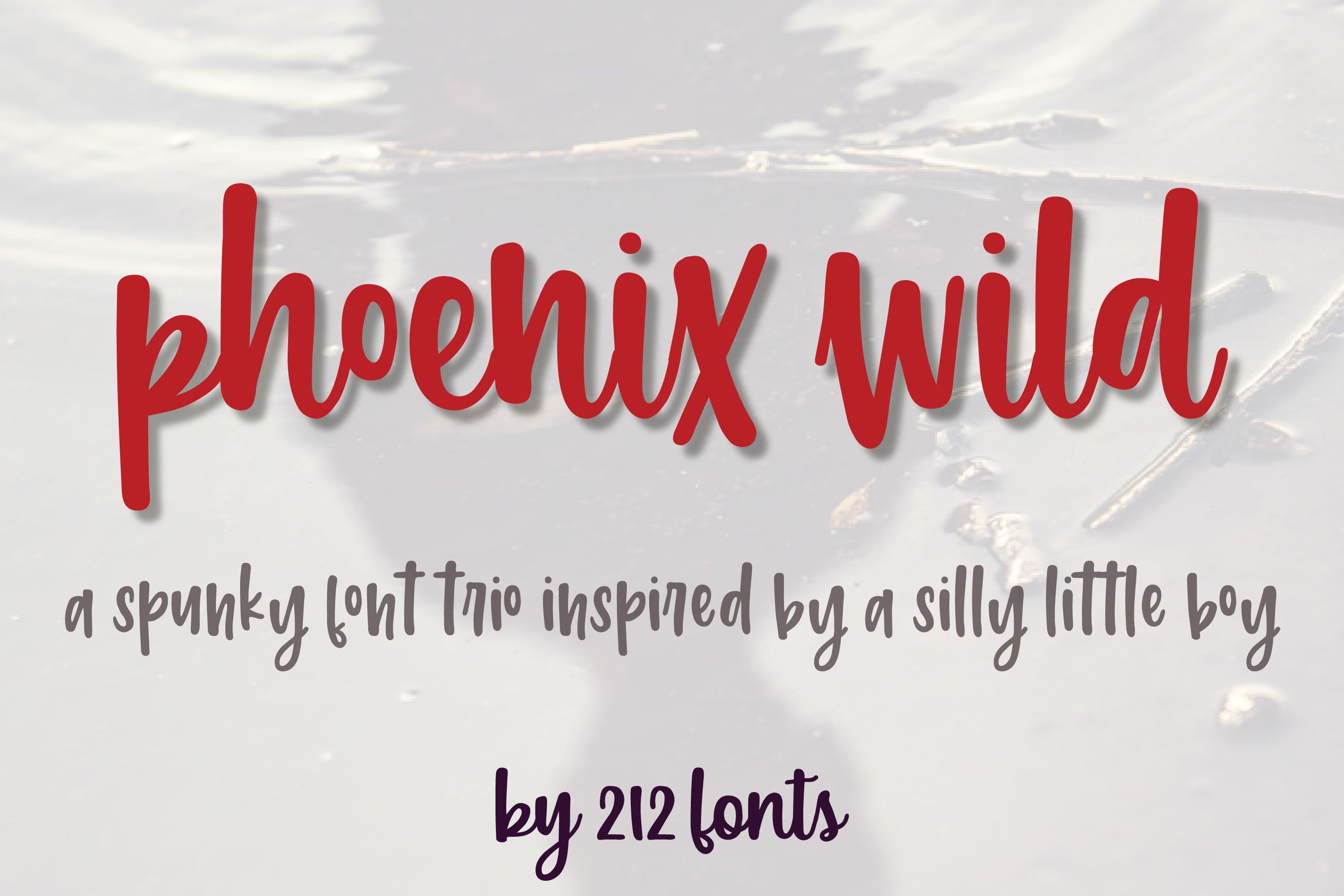 212 Phoenix Wild Font Trio of 2 scripts and sans font family (261601 ...
