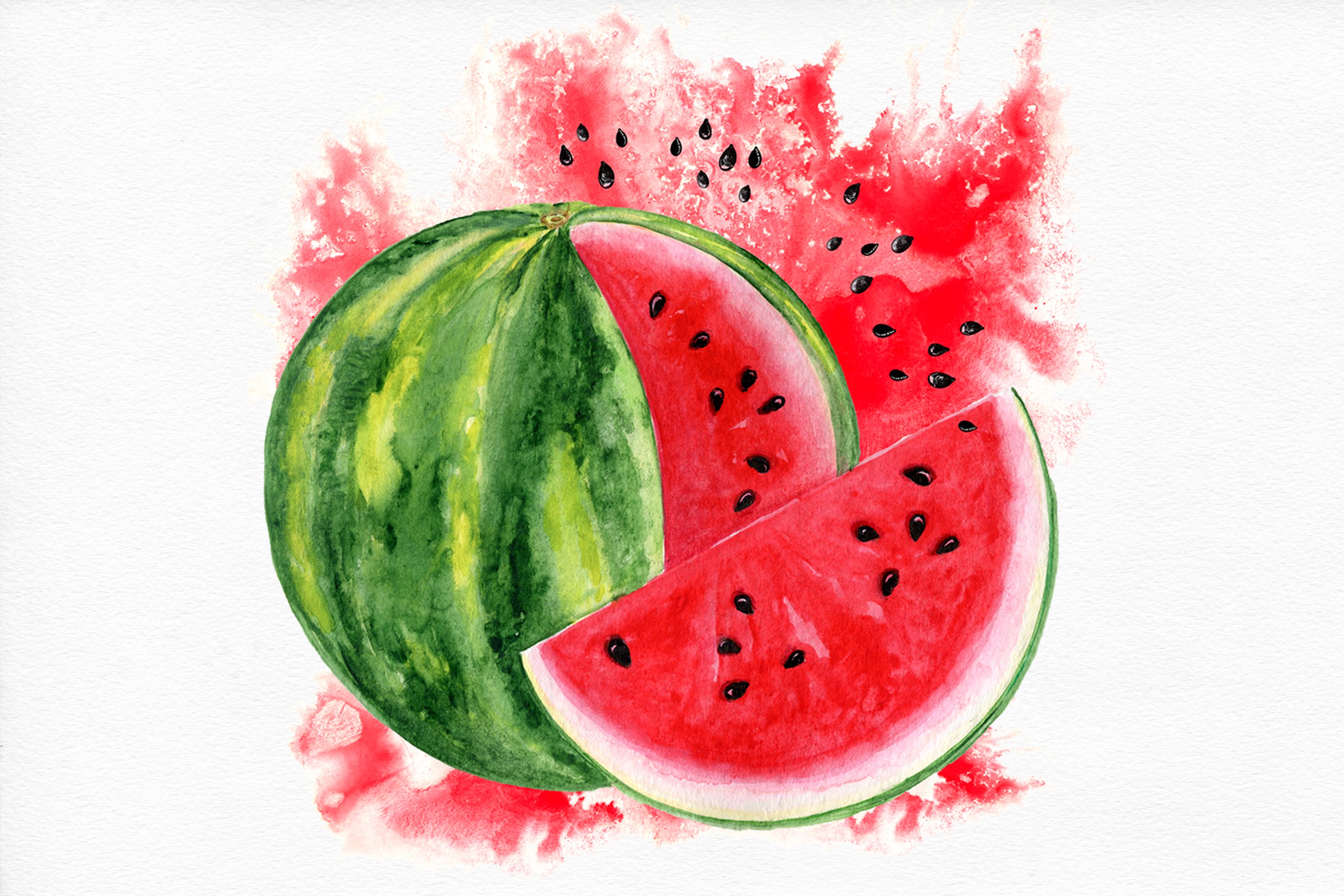 Watermelon on Watercolor Splashes, Watercolor Clipart (668536 ...
