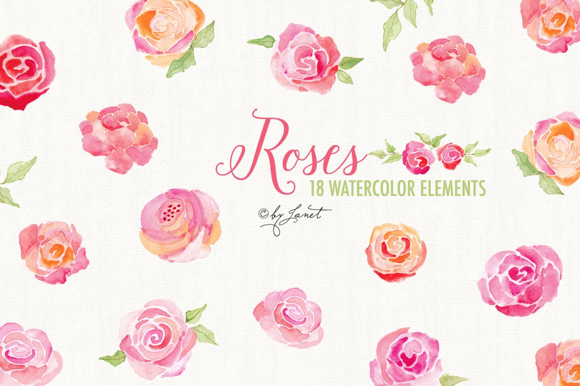 Watercolor Roses (21077) | Illustrations | Design Bundles