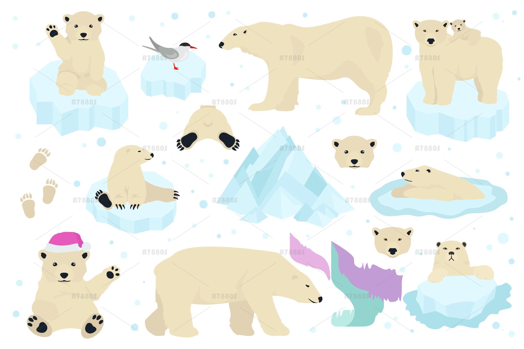 Bear species set (1006966) | Illustrations | Design Bundles