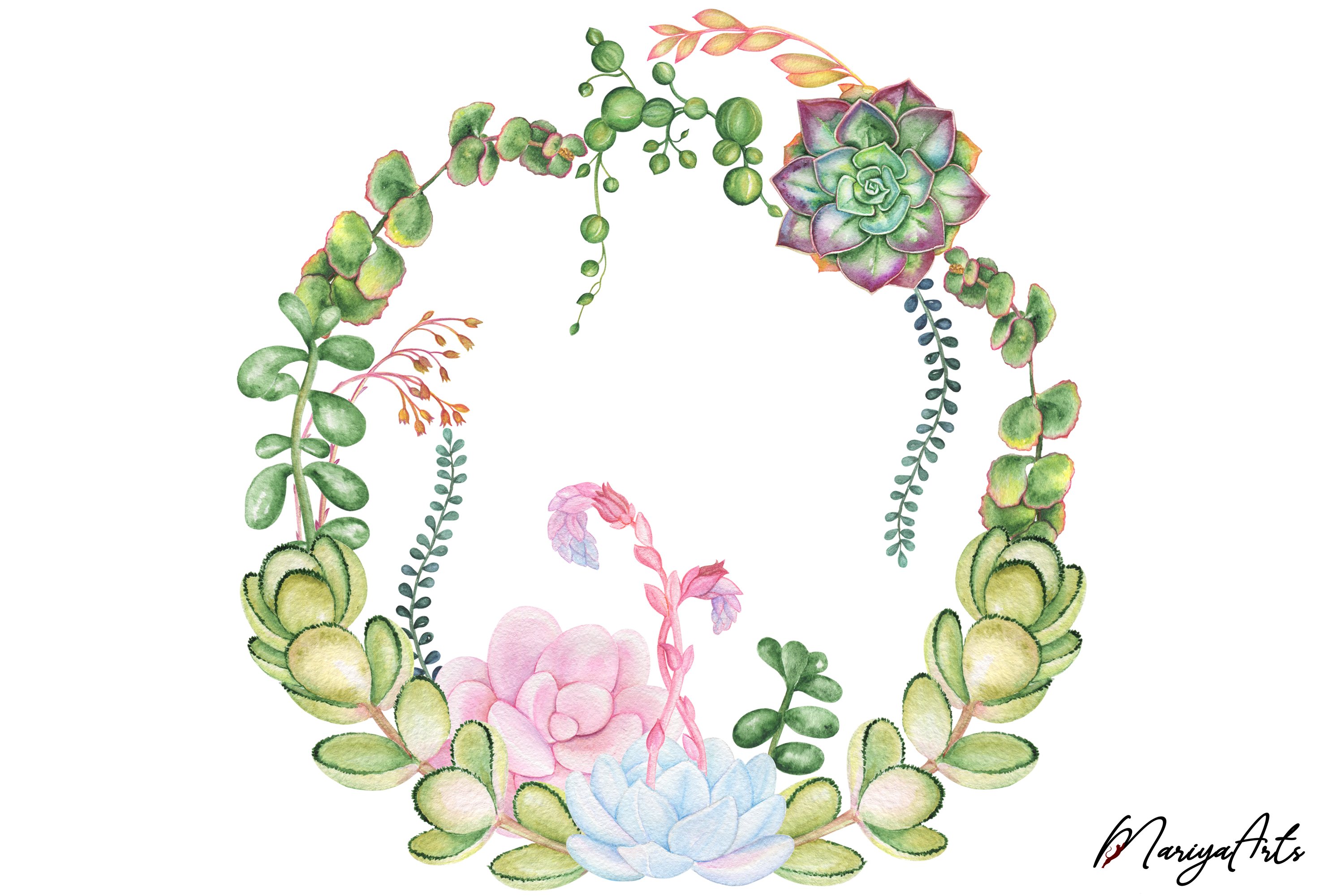 Succulent Plants, Clipart, Hand Painted Watercolor Botanical (721142 ...