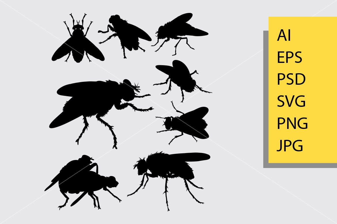 Fly insect silhouette (512000) | Illustrations | Design Bundles