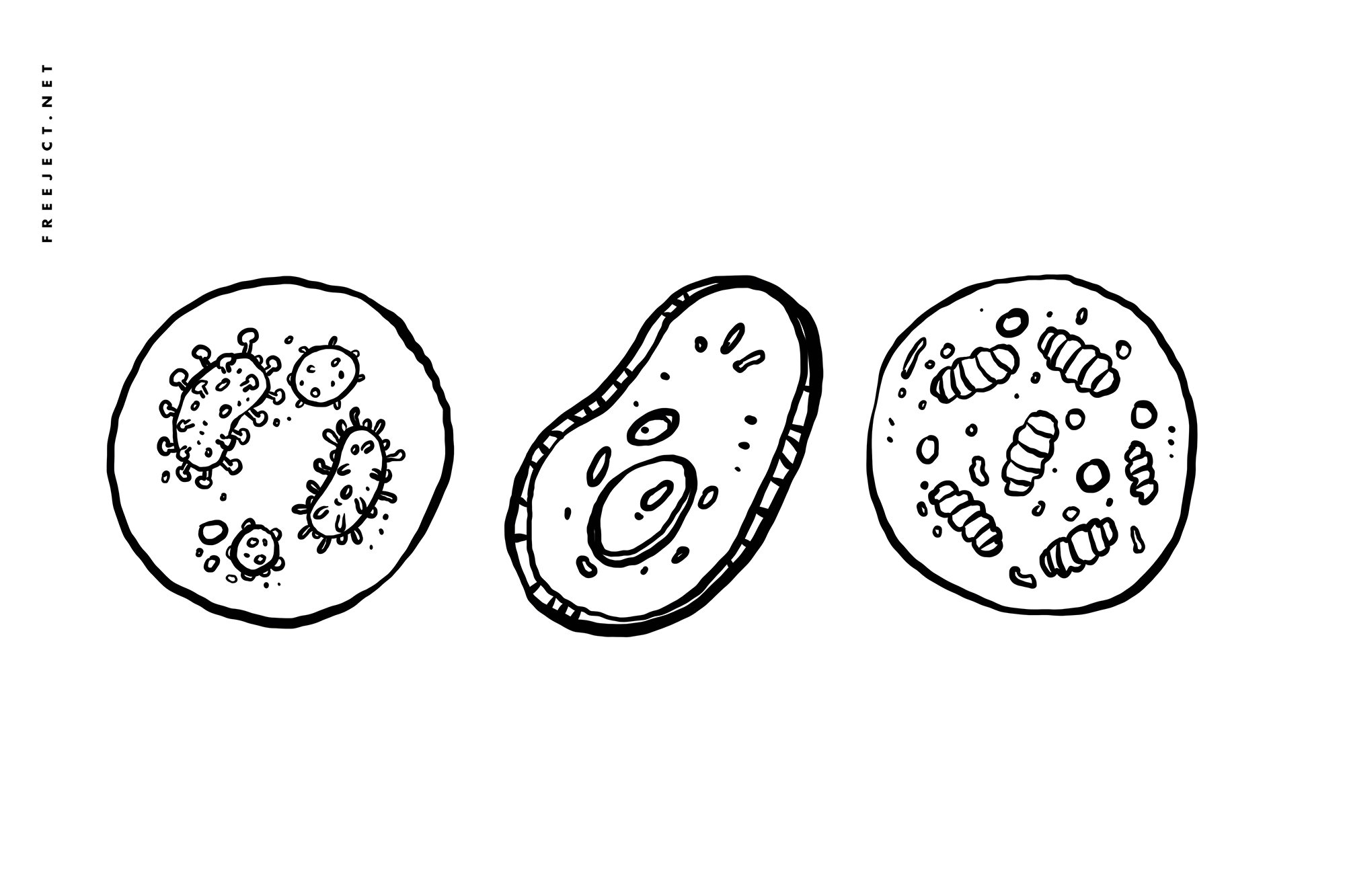 15 Virus Hand drawn Illustration Vector (564733) | Illustrations ...