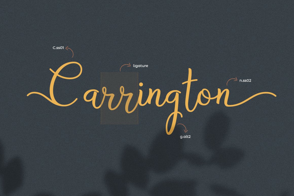 Bryan Letter - Hand-Lettered Script Font (808317) | Handwritten | Font ...