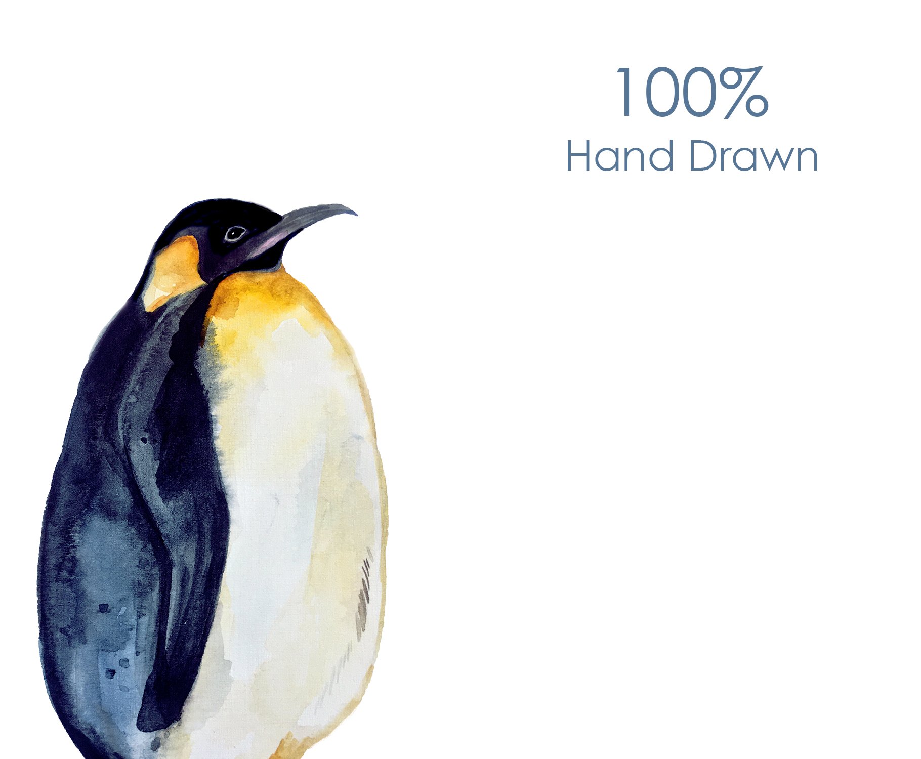 Watercolor clipart. Hand painted animal cute set penguins. (1243816 ...