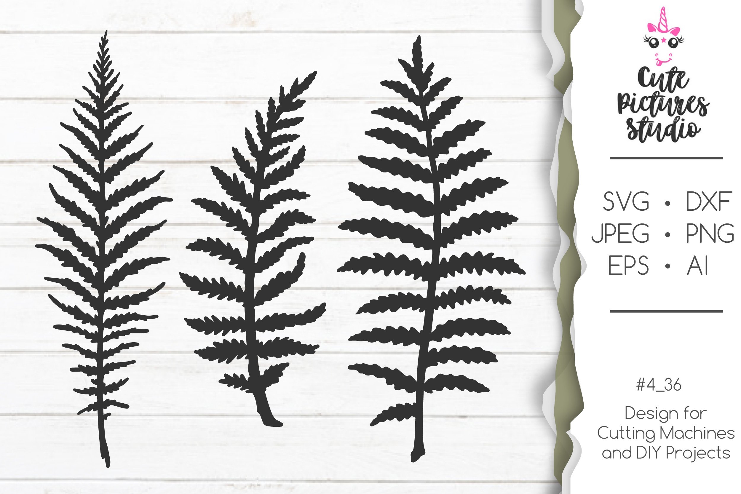 Set of Fern leaves SVG PNG clipart, Wild flower SVG (919225) | Cut ...