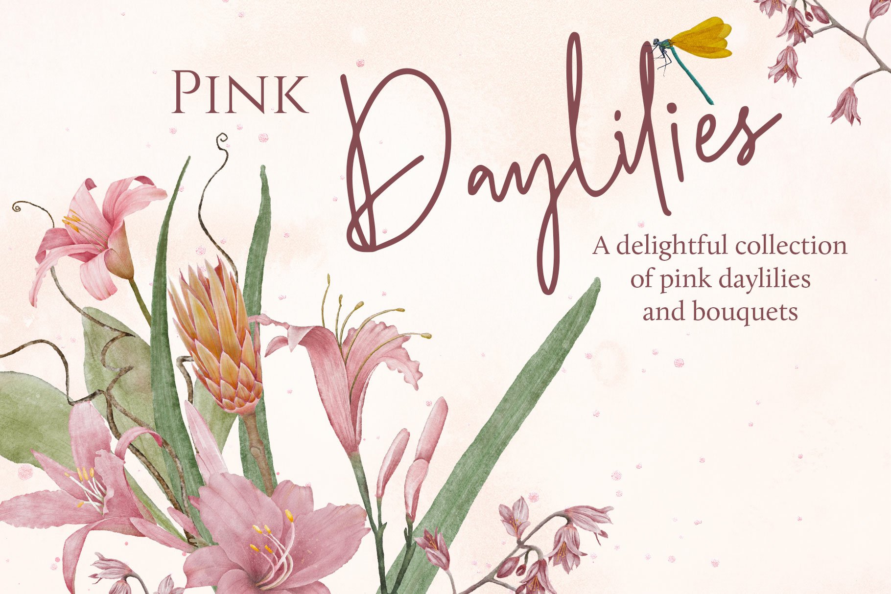 Pink Daylily Graphic Set (2274525) | Illustrations | Design Bundles