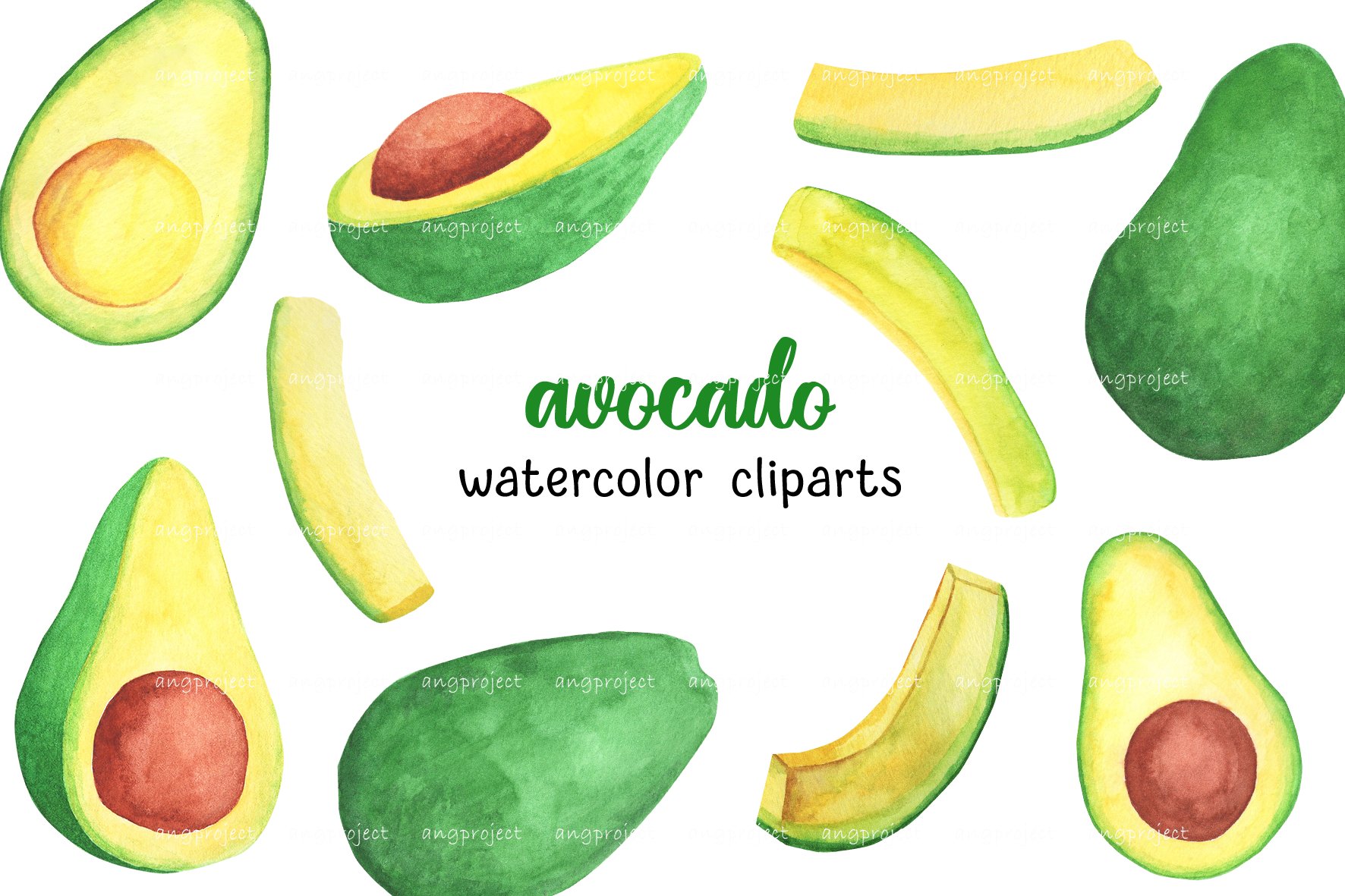 Avocado Illustration