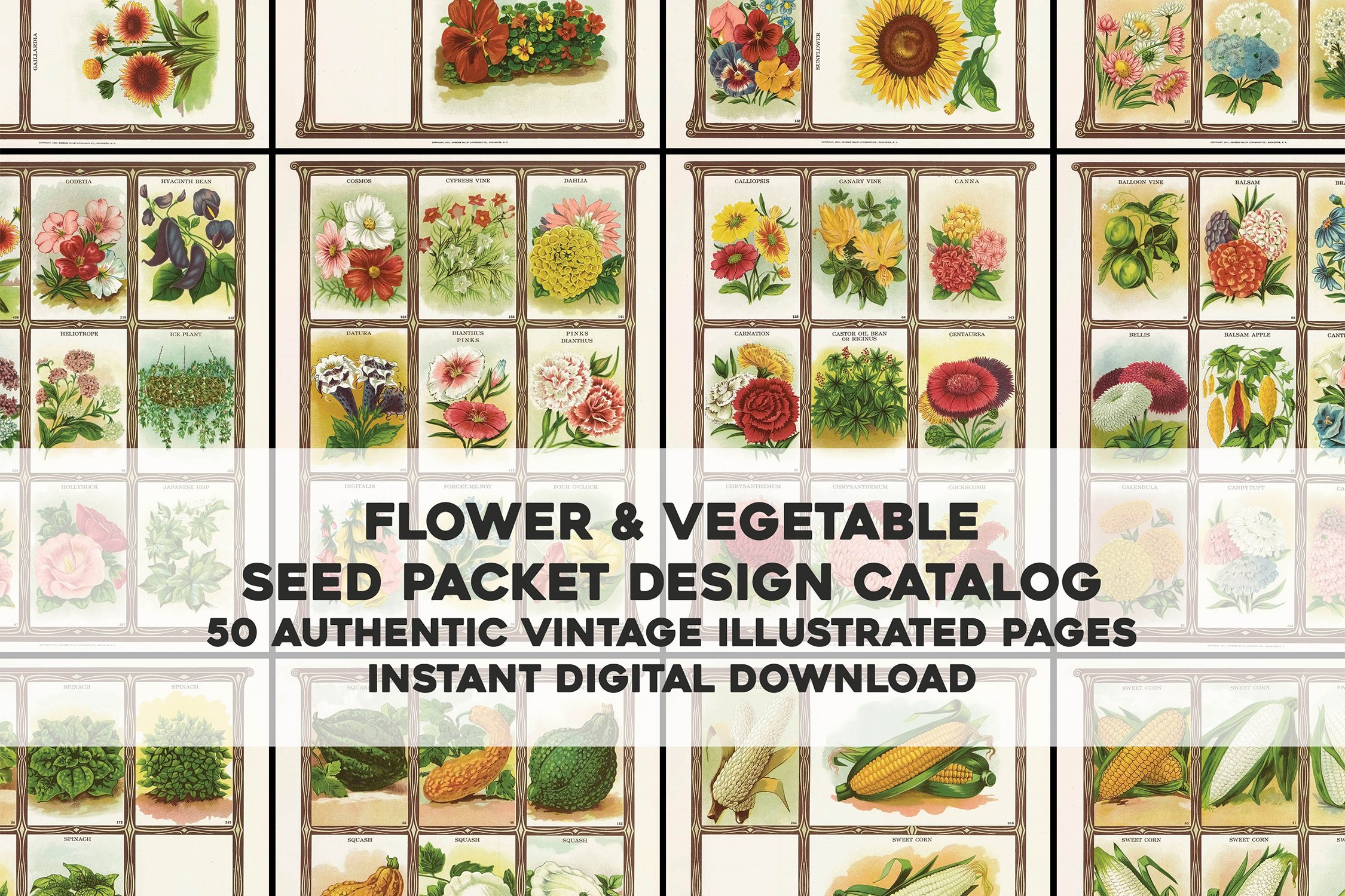 Vintage Broccoli Seed Packet Posters