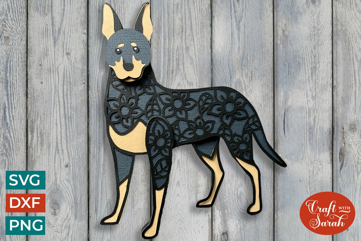Are Australian Kelpies Allowed To Compete