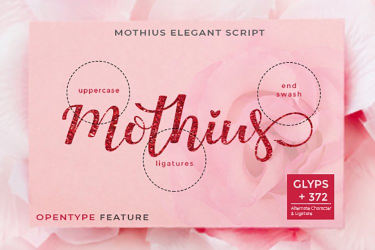 Mothius (545441) | Calligraphy | Font Bundles