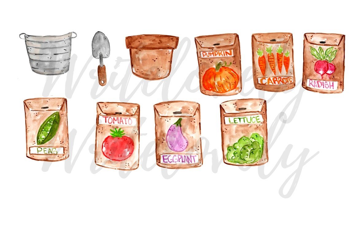 watercolor garden vegetable seed clipart (923452) | Illustrations ...