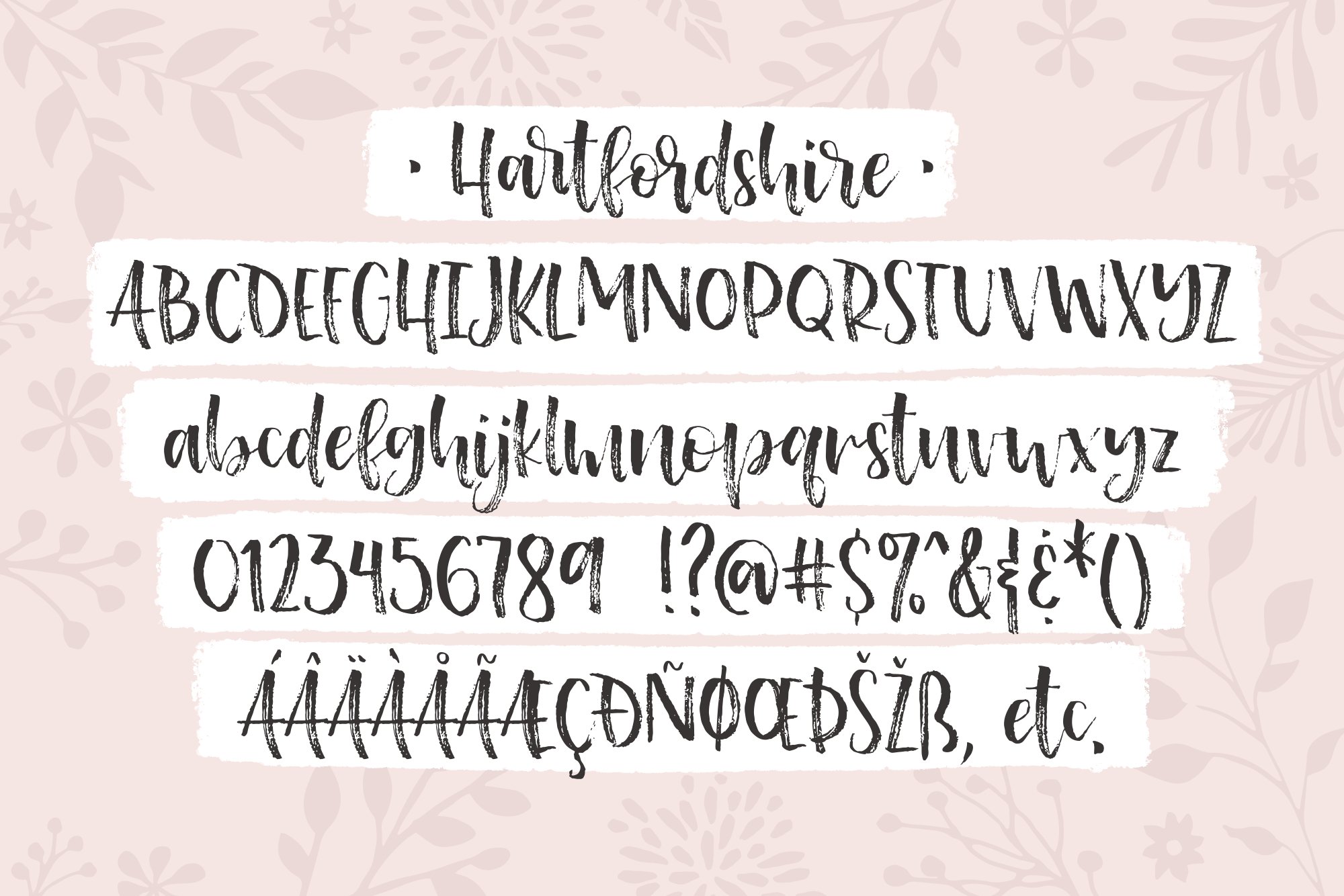 Hartfordshire, a shabby chic farmhouse font (294565) | Brush | Font Bundles