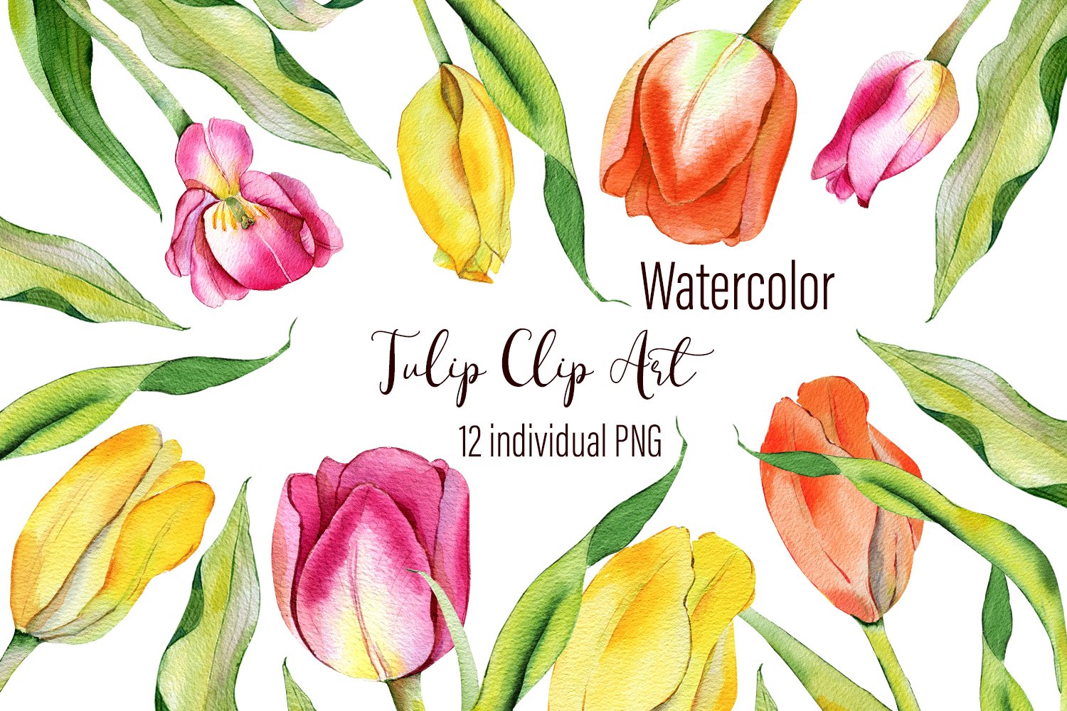Watercolor Tulips Clipart (1195019) | Illustrations | Design Bundles
