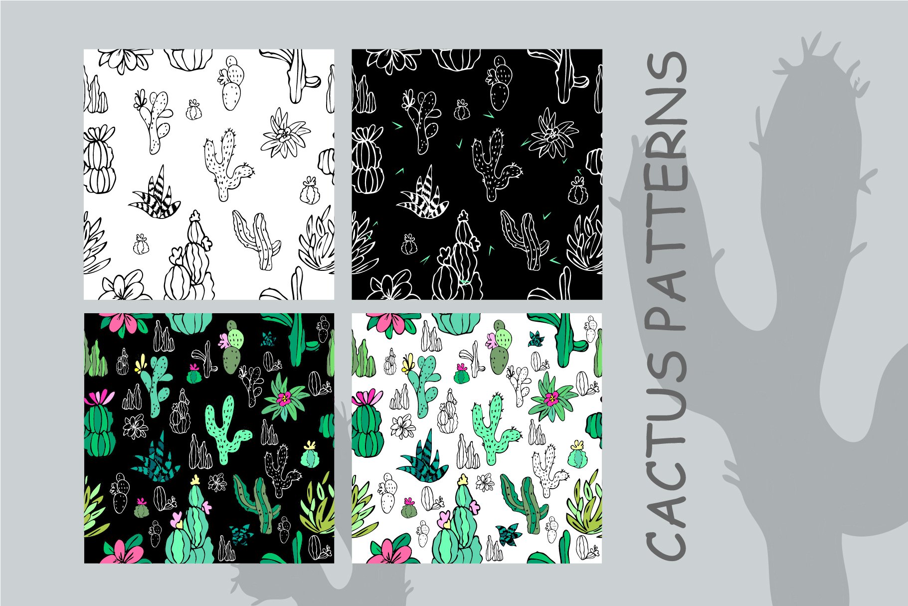 Cactus set. Cactus and succulent. Patterns and elements. (275437 ...
