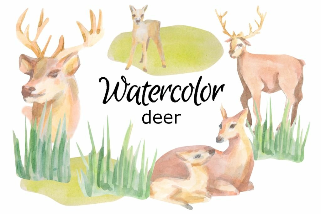 WATERCOLOR CLIPART deer animals wild forest nursery (1796736 ...