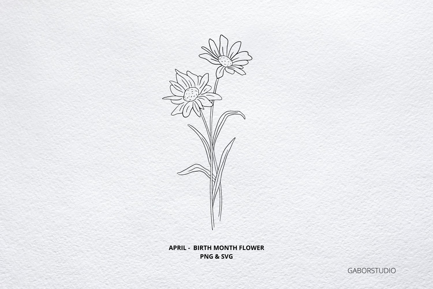 April Birth Month Flower