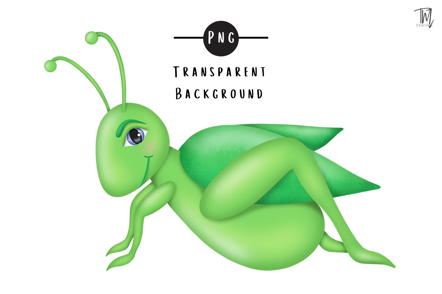 Grasshopper Insect Clipart