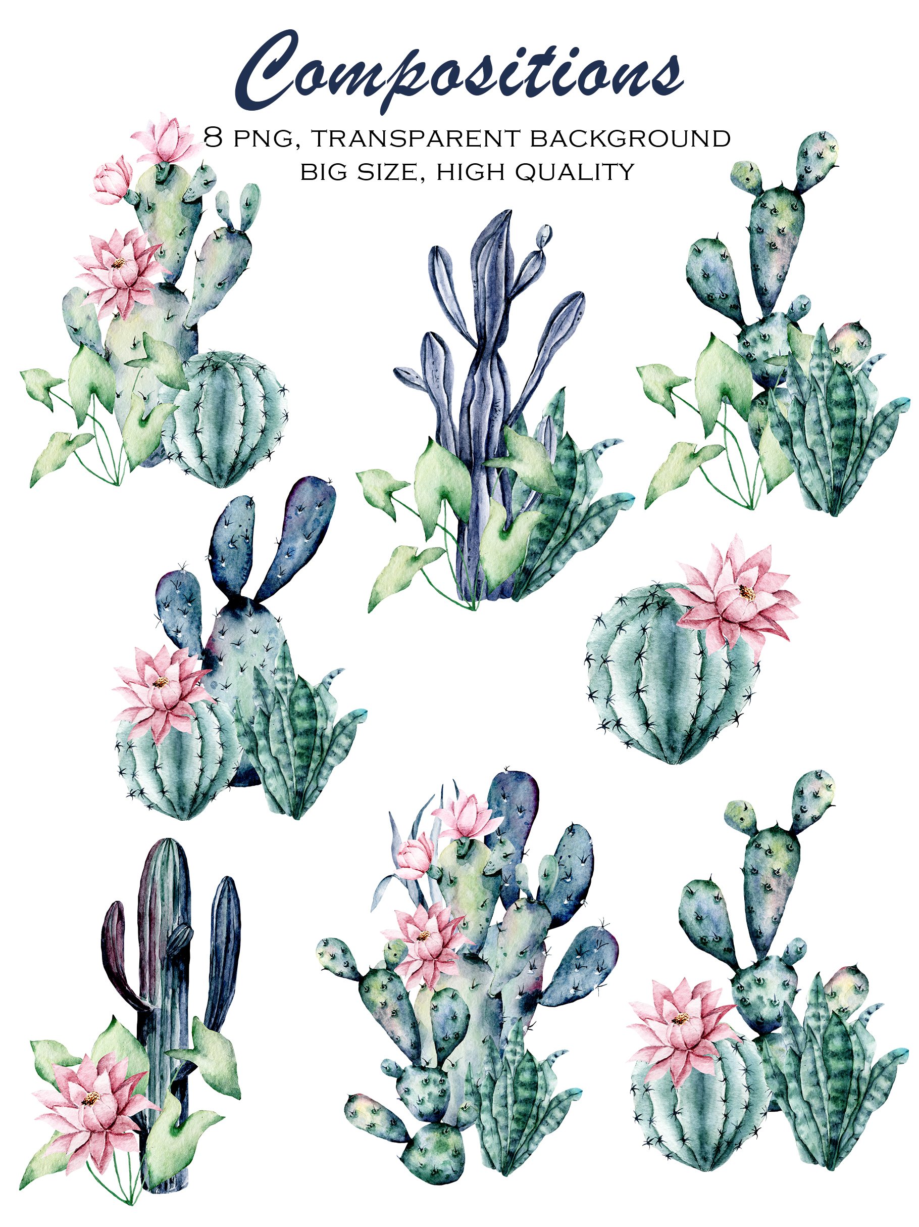 Cacti, watercolor floral set. Cactus in pot hand painting. (1062064 ...