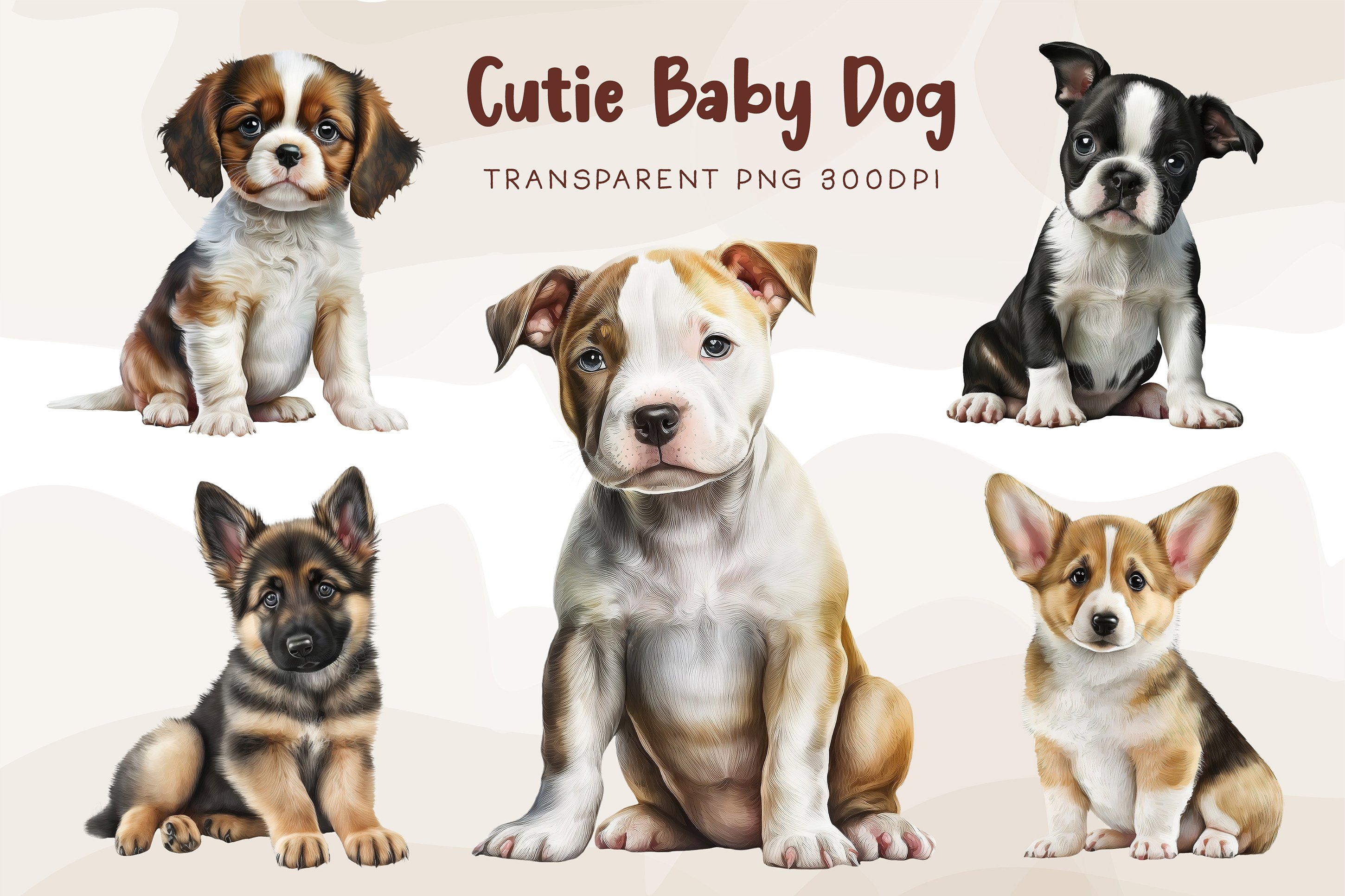 Baby Puggle Puppy