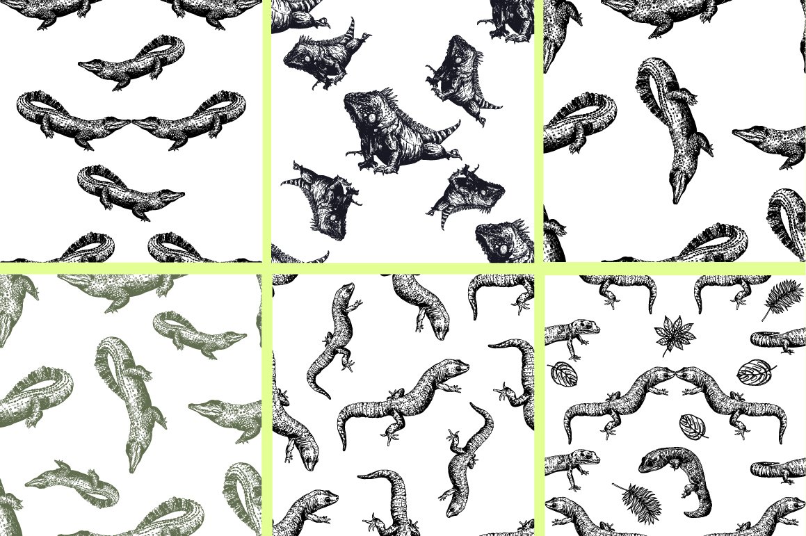 Reptiles (654724) | Illustrations | Design Bundles
