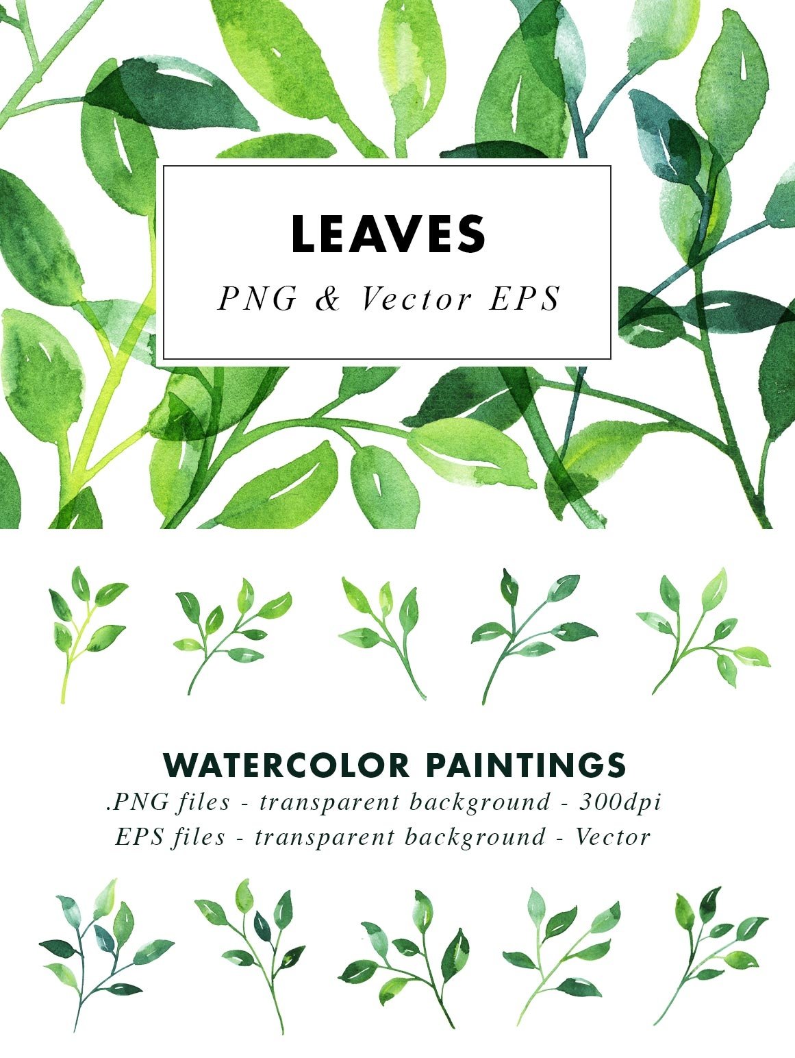 Watercolor Leaves Illustration ClipArt PNG & EPS Vector