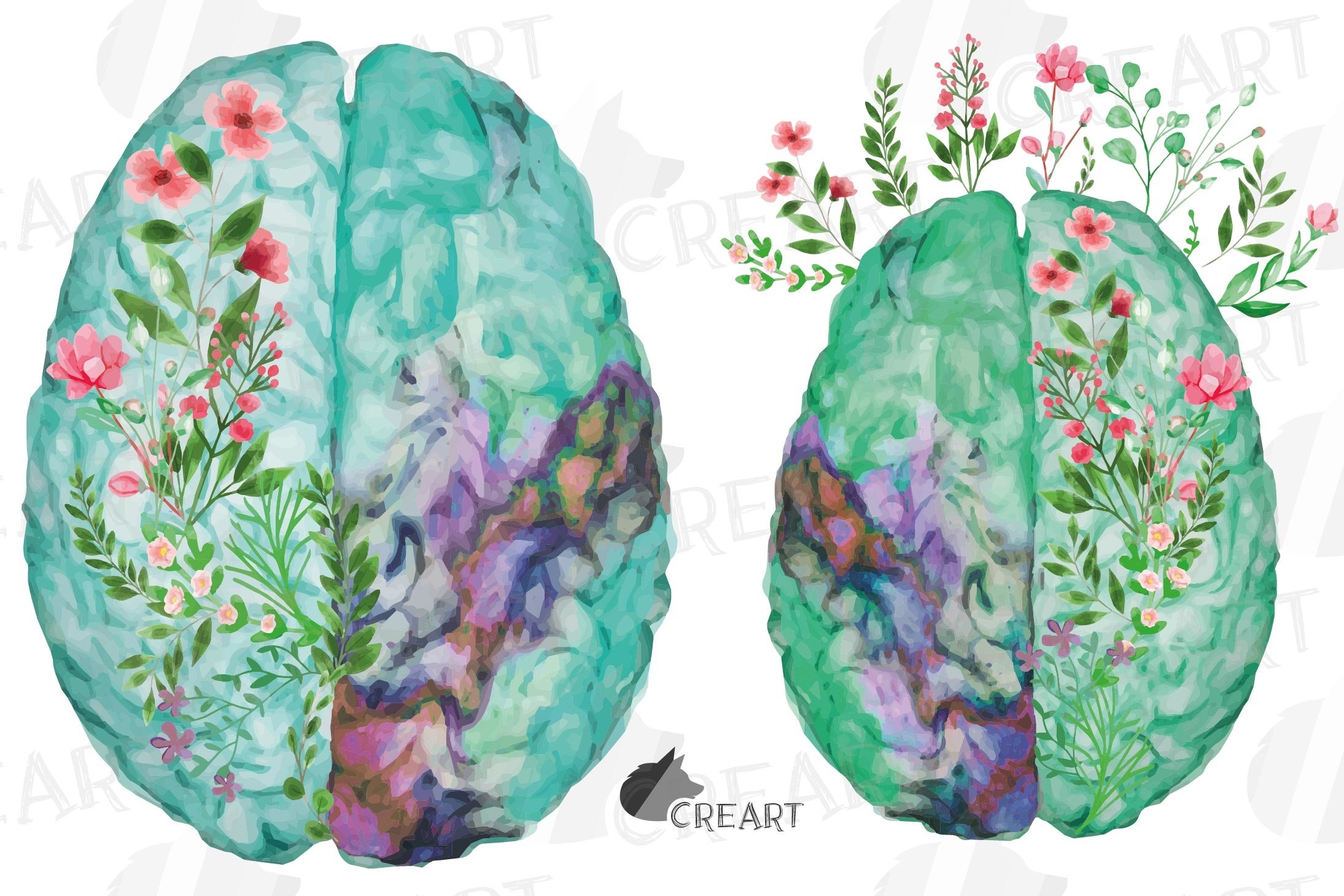 Watercolor blooming anatomical brain gift graphic clip art. (582979 ...