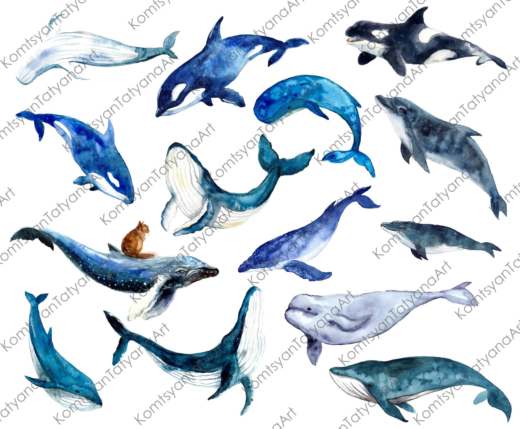 Watercolor Ocean. Watercolor Clipart. Cute whale (1119845 ...