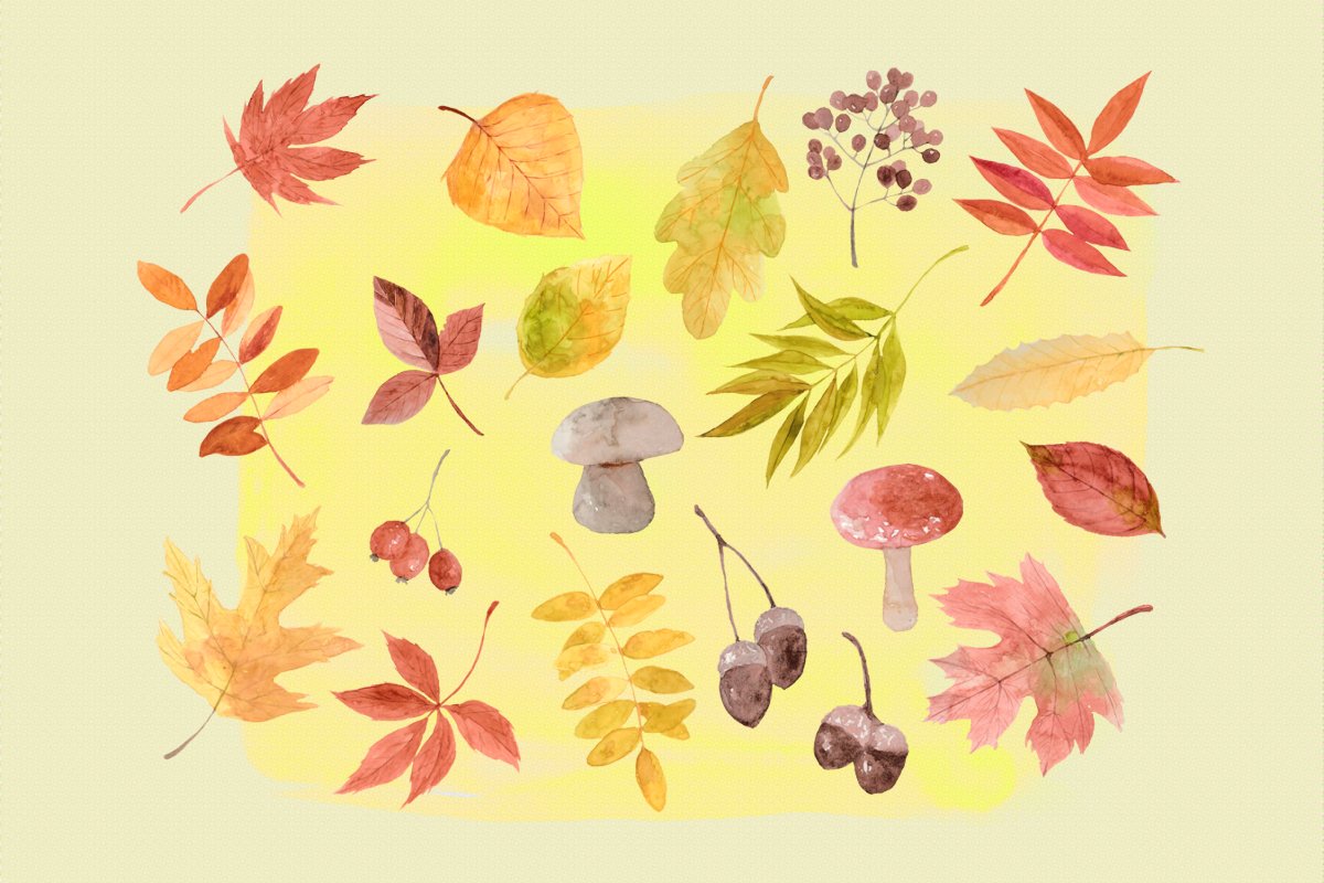 Fall Foliage Watercolor PNG Clipart Set (856318) | Elements | Design ...