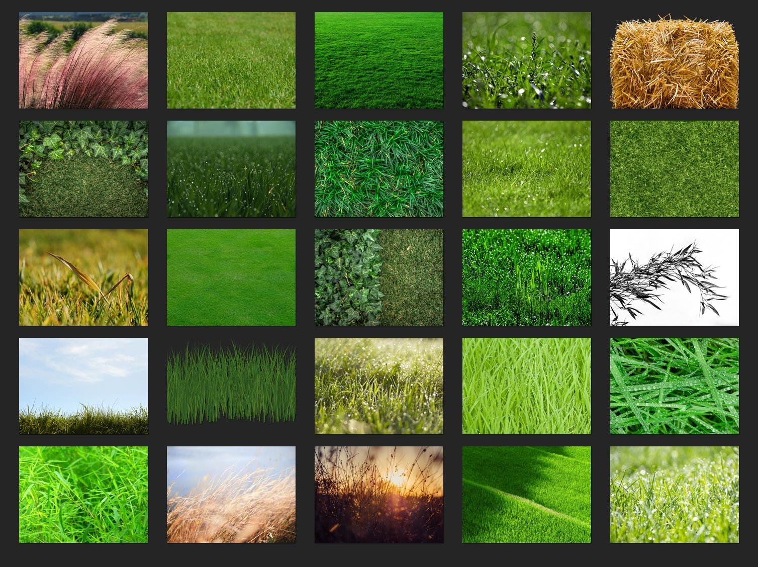 200 GRASS DIGITAL PHOTOSHOP OVERLAYS, BACKDROPS, BACKGROUNDS (530880 ...