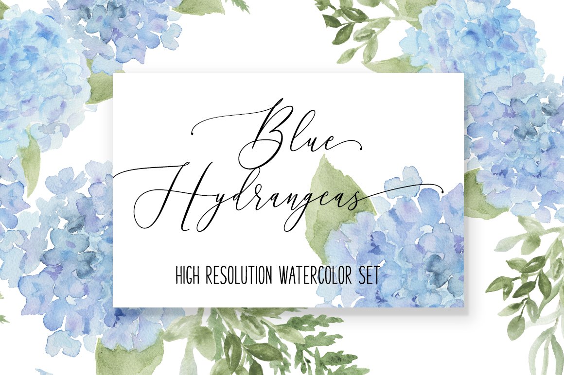 Blue Hydrangea Watercolor