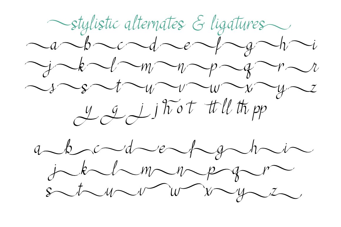 RSVP a modern calligraphy display font with swatches (189222 ...