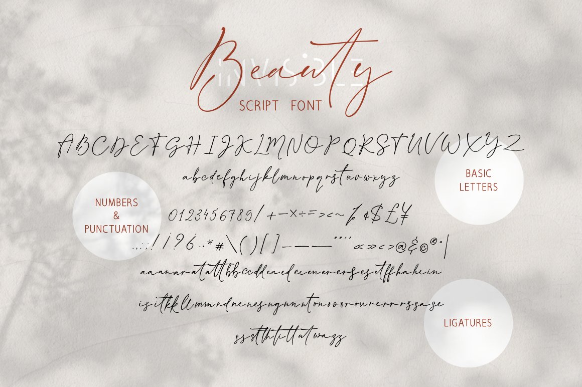 Invisible Beauty. Chic Duo Font. (660165) | Calligraphy | Font Bundles