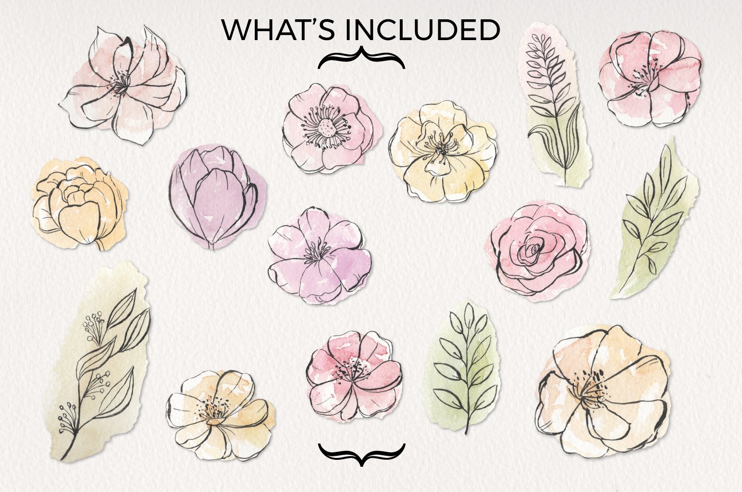 Outline Floral Watercolor Elements 15 Painted Black Florals