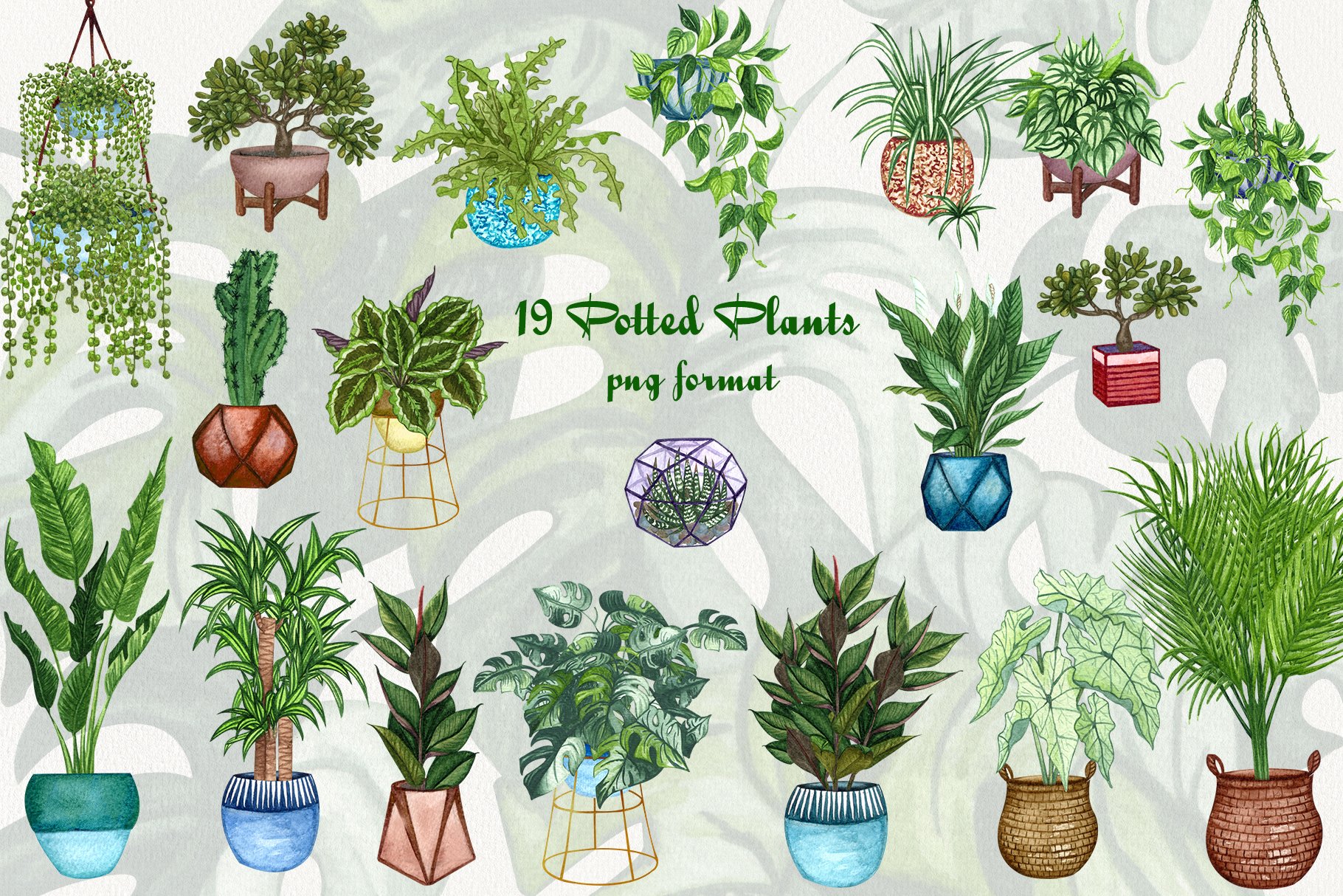 House Plants Watercolor Clip Art 600dpi (611501) | Elements | Design ...