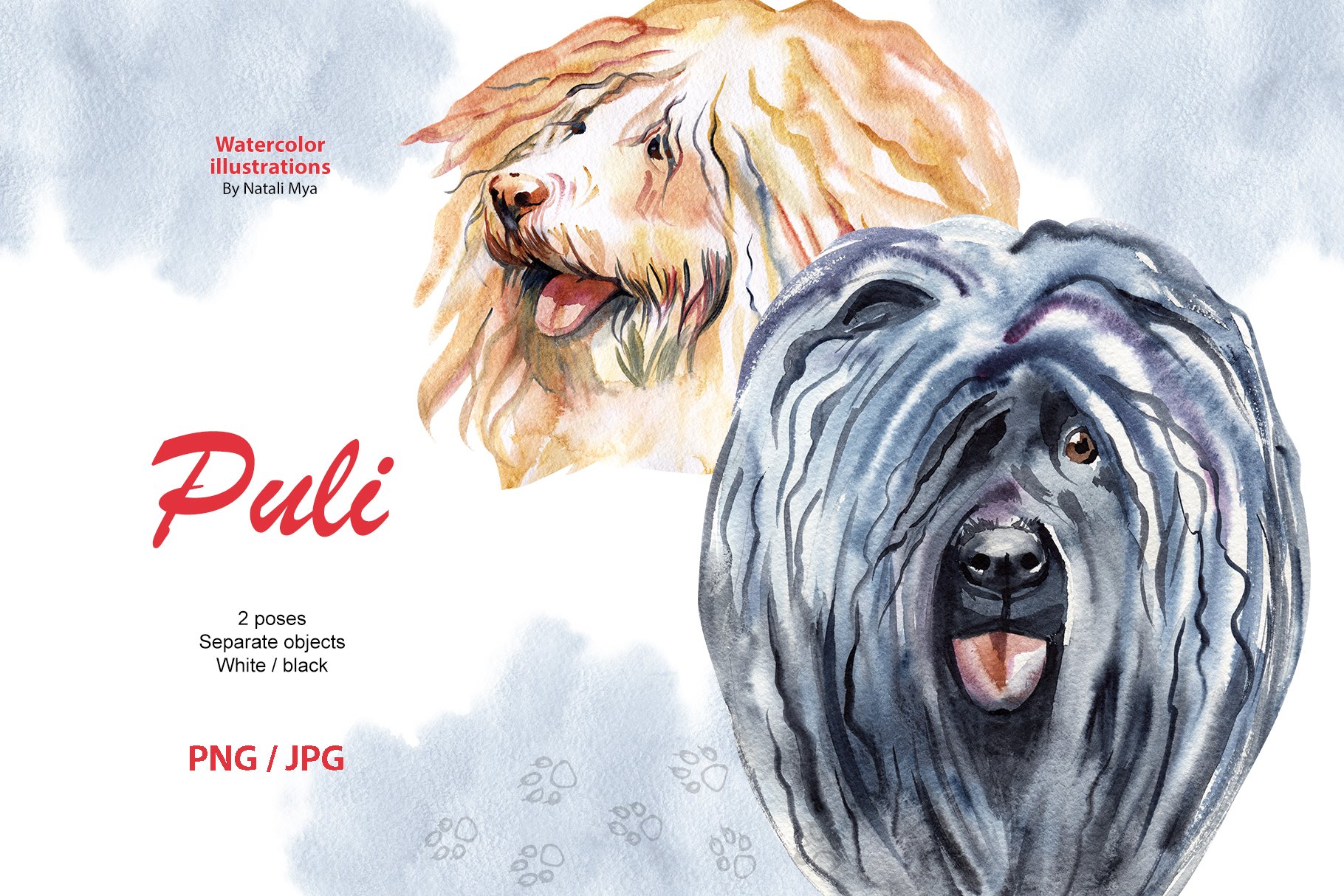 Watercolor dog - Puli (224778) | Illustrations | Design Bundles