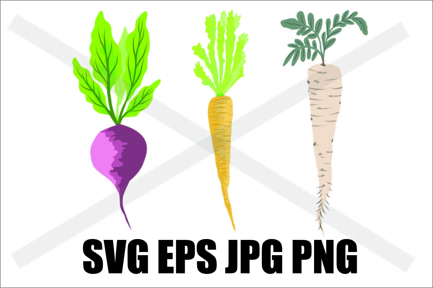 Root Vegetable Drawing