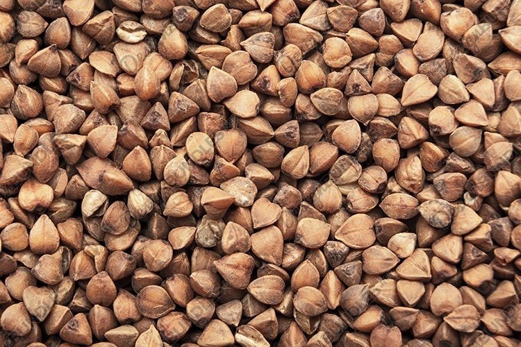 Buckwheat (957362) | Food and Drink | Design Bundles
