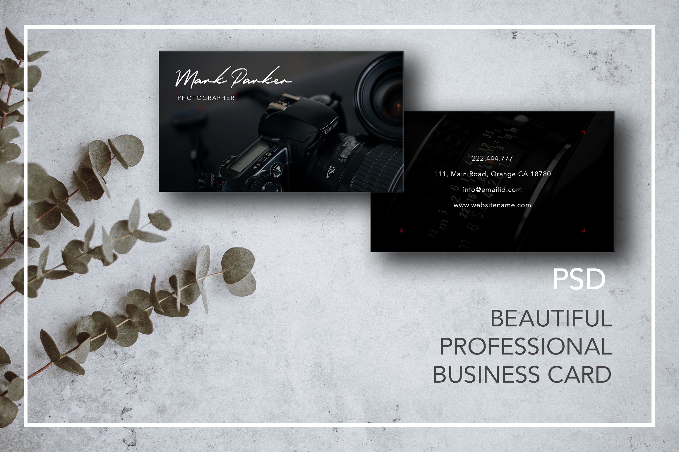 Professional Photography business card (56380) | Business Cards ...