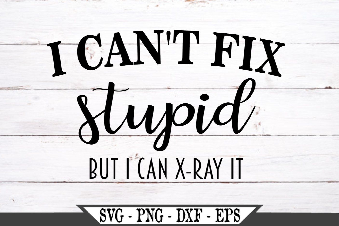I Can't Fix Stupid But I Can X-ray It SVG (481194) | SVGs | Design Bundles