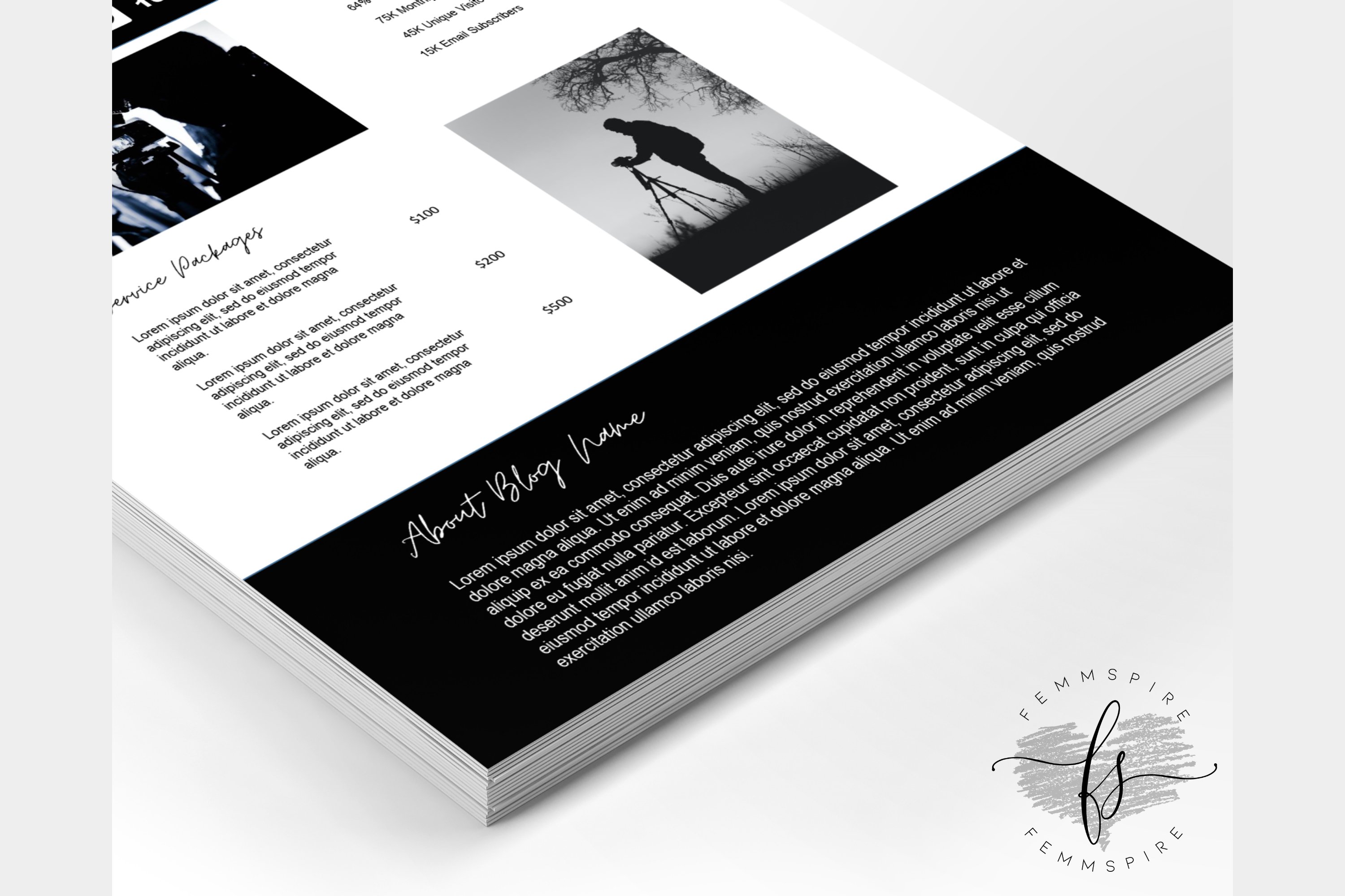 Media Kit Template, MS Word, US Letter & A4 Sizes (733972 ...