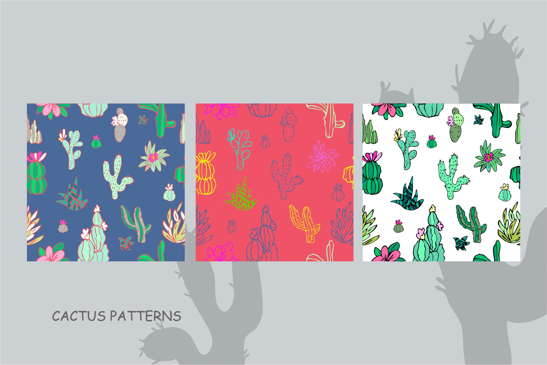Cactus set. Cactus and succulent. Patterns and elements. (275437 ...