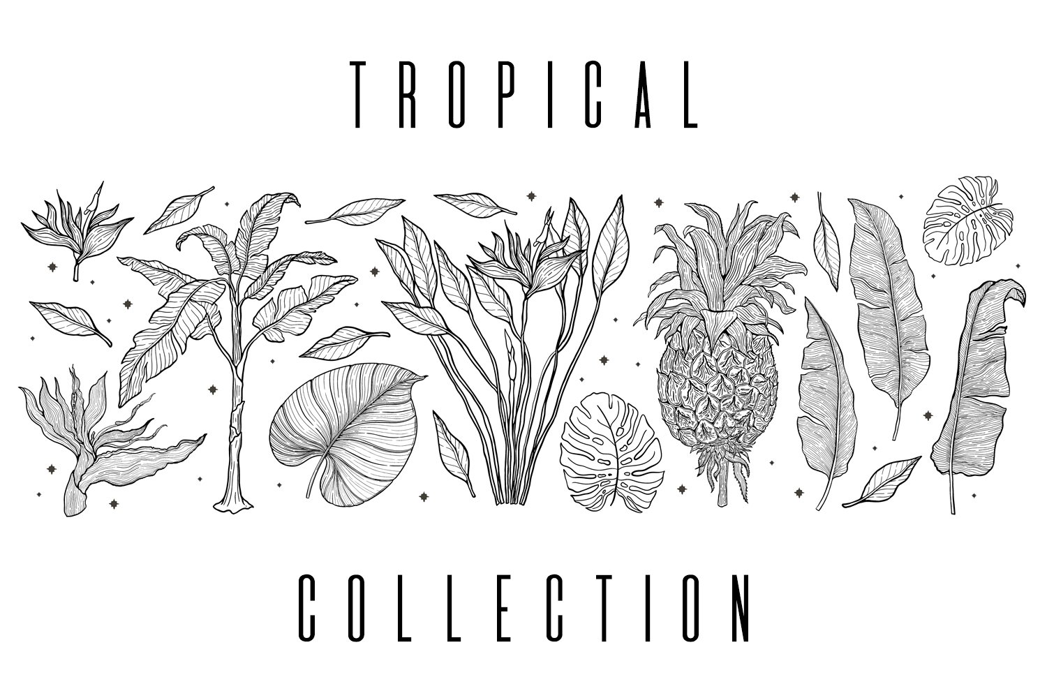 Tropical summer collection line (885590) | Illustrations | Design Bundles