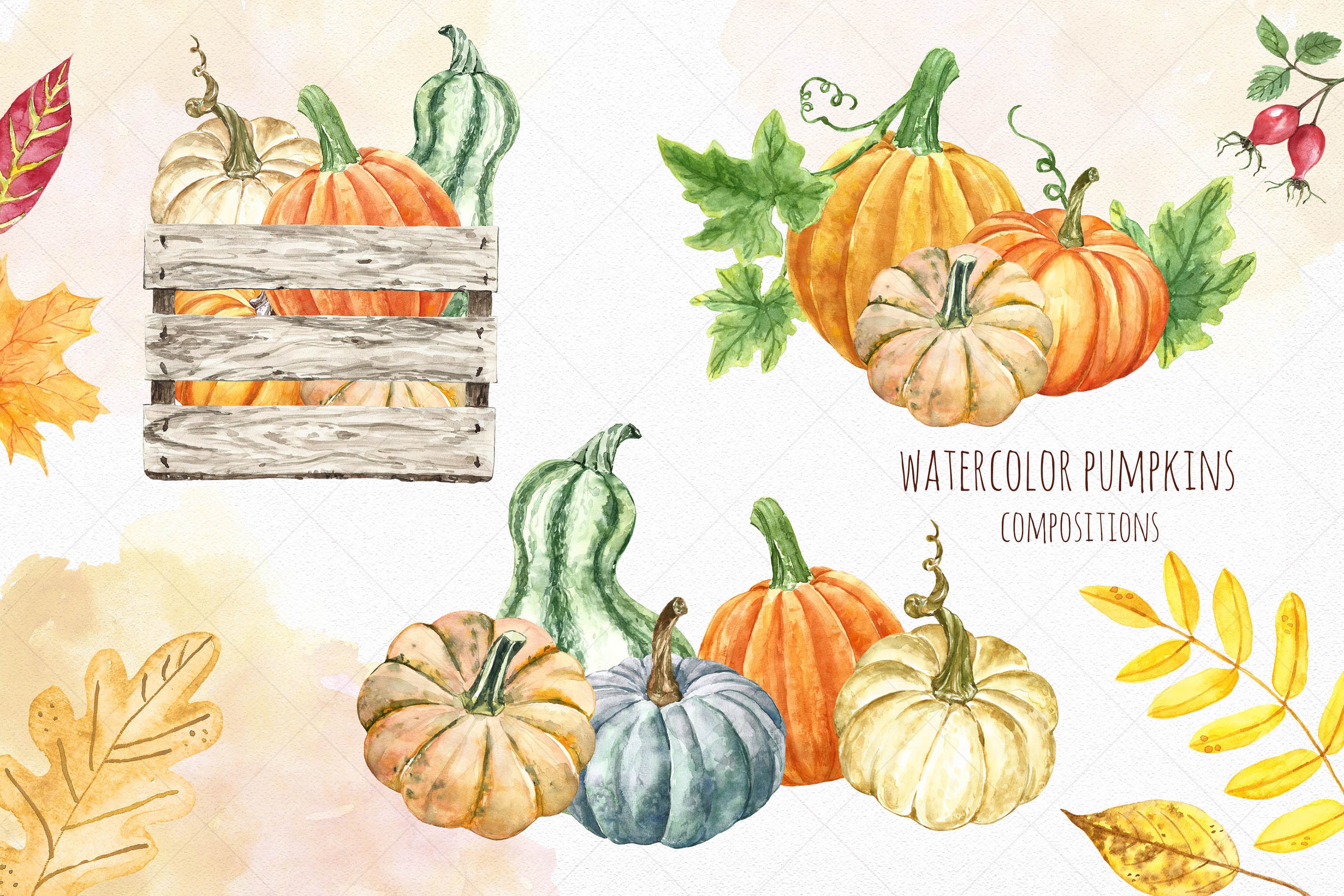 Watercolor Autumn Harvest Clipart Pumpkin patch Thanksgiving (367796 ...