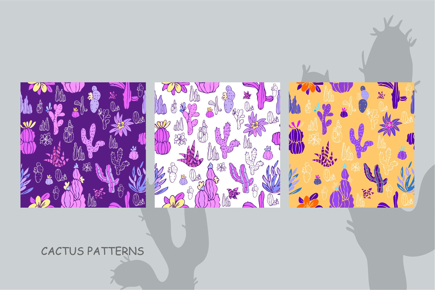 Cactus set. Cactus and succulent. Patterns and elements. (275437 ...